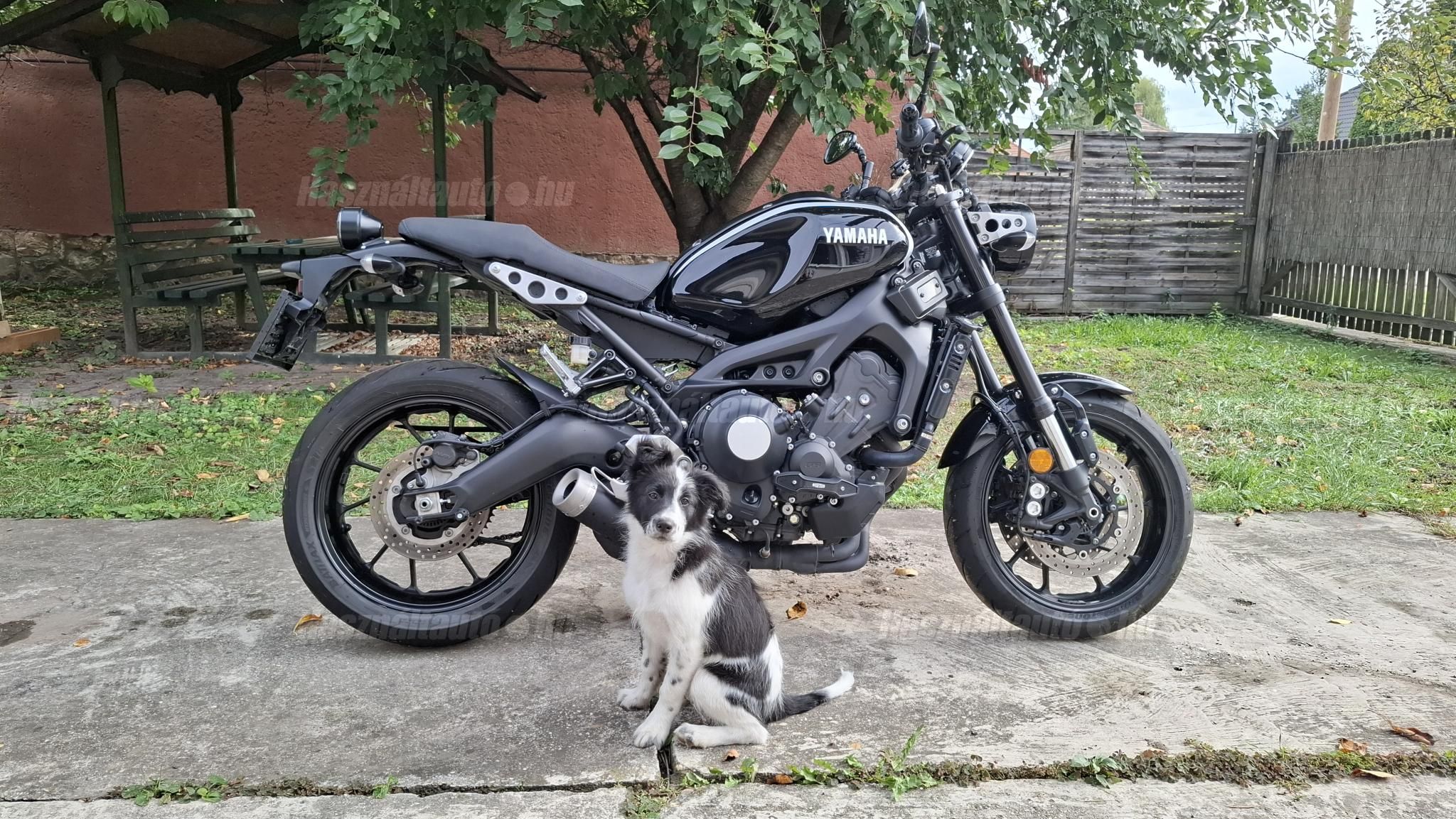 Eladó YAMAHA XSR 900 847 cm³ (2017) Motorkerékpár | Használtauto.hu