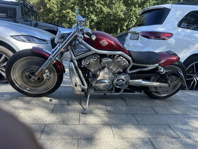 Eladó HARLEY-DAVIDSON V-ROD (VRSCA) 1 130 cm³ (2003) Motorkerékpár ...