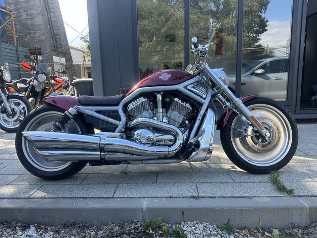 Eladó HARLEY-DAVIDSON V-ROD (VRSCA) 1 130 cm³ (2003) Motorkerékpár ...